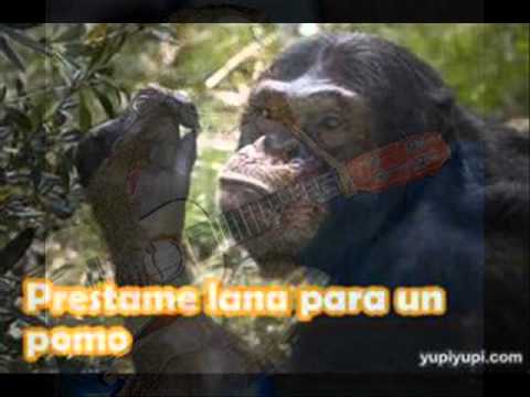 VAMOS A MATAR AL CHANGO ARTE NORTE - YouTube