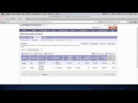 Compensation Analyzer, Compensation.Blr.Com, Employee Report - YouTube