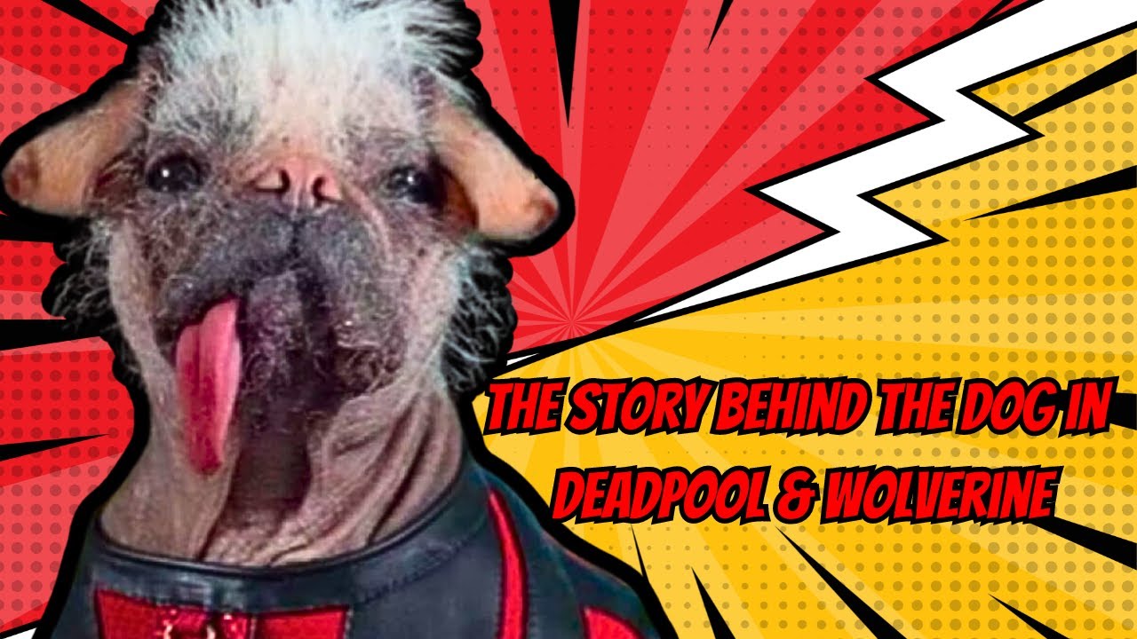 Pop Hot Topic: Meet Peggy aka Dogpool in Deadpool & Wolverine - YouTube