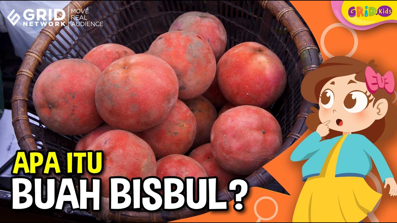 Buah Bisbul yang Hampir Punah dan Mempunyai Banyak Manfaat - YouTube