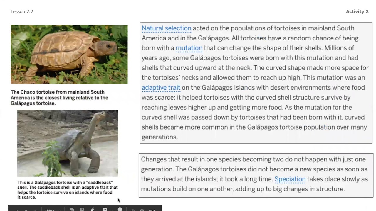 Science, 8th Grade, 5/26, Evolutionary History - YouTube