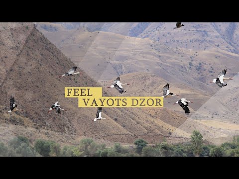 Step to Vayots Dzor Armenia