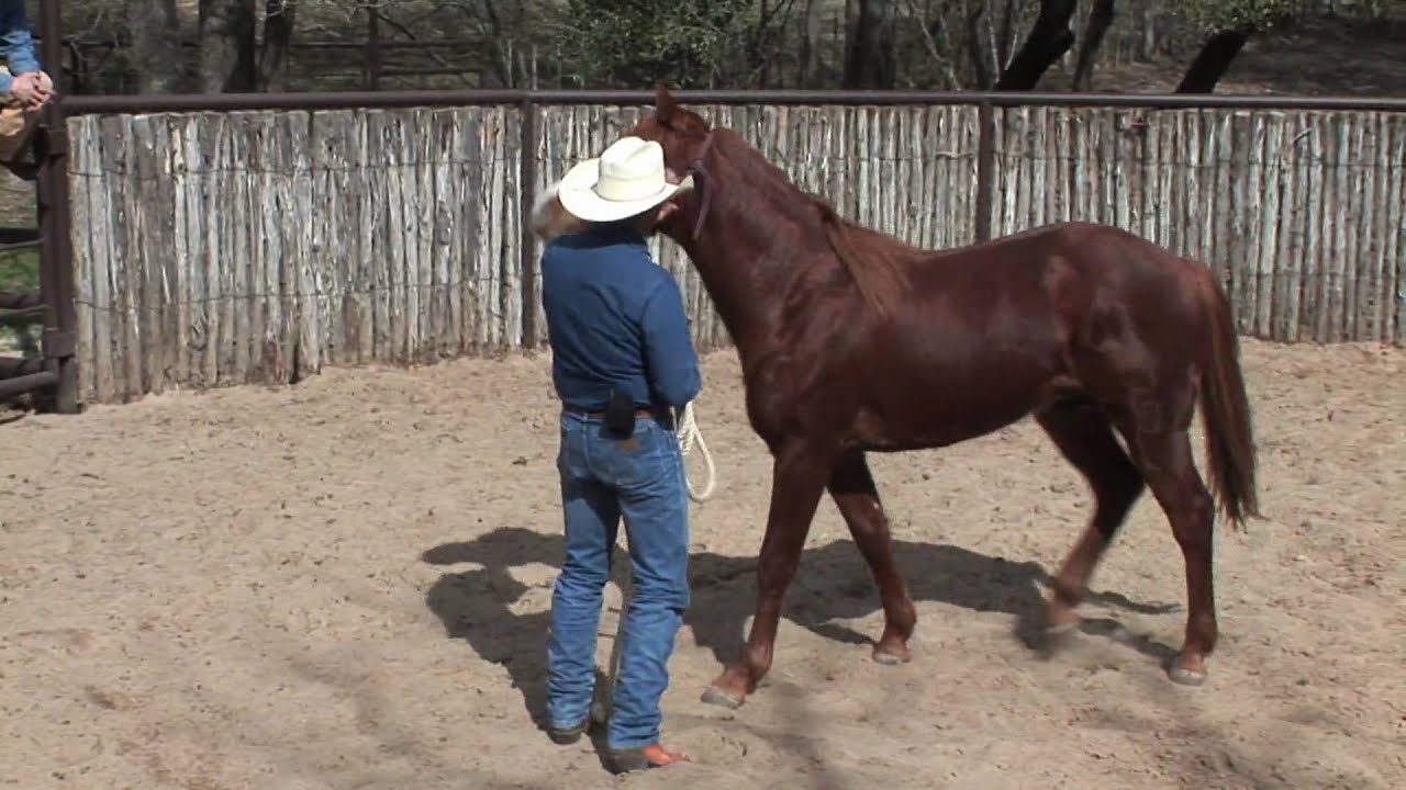 Ride Smart with guest Ty Murray Part 1 - YouTube