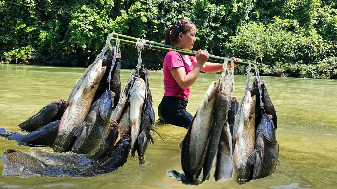 Traditional Fishing Skills - Single Mother Catches Giant Fish with ...