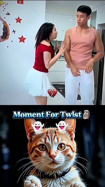 Wait For Plot Twist 🗿#cat #meme #funny - YouTube