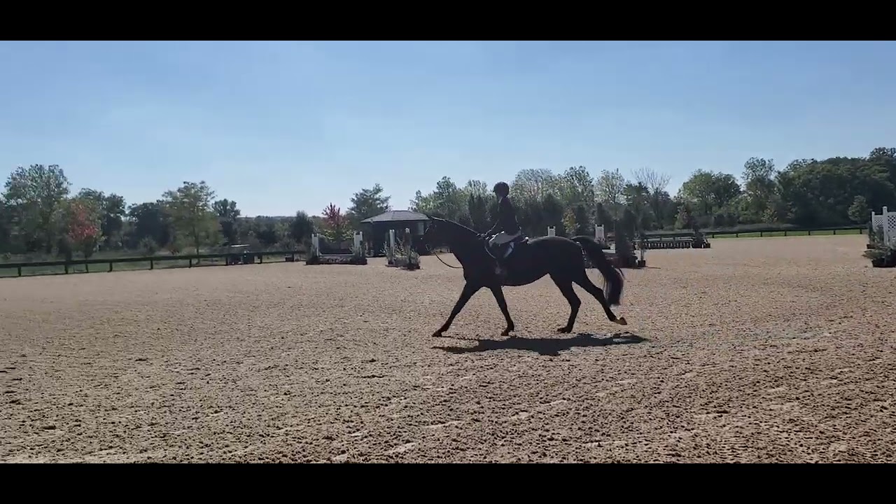 Laura Hayat and Pommery Competing in Hopeful Hunters at PEL Finals- 1st ...
