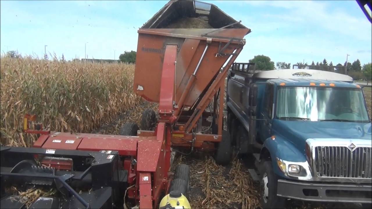 Making Corn Silage - YouTube