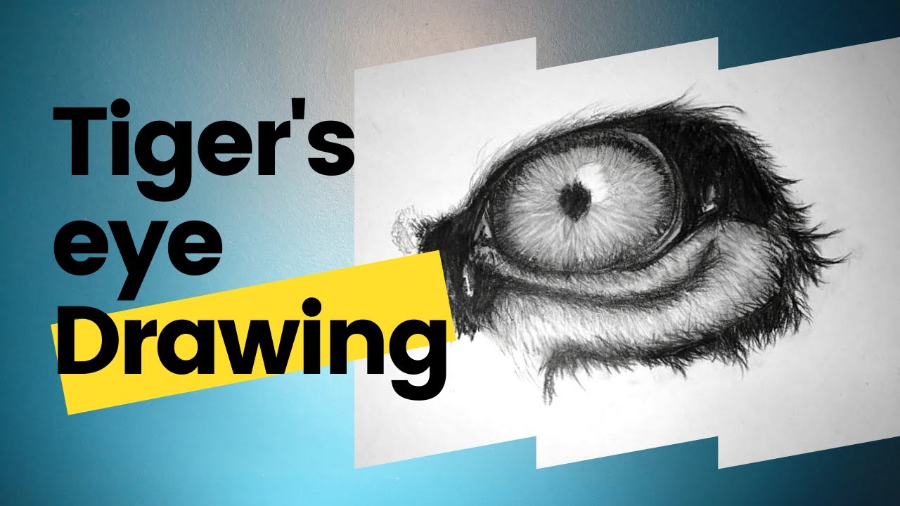 REALISTIC TIGER EYE DRAWING | CHARCOAL SKETCH | BHUSHAN LISTE - YouTube
