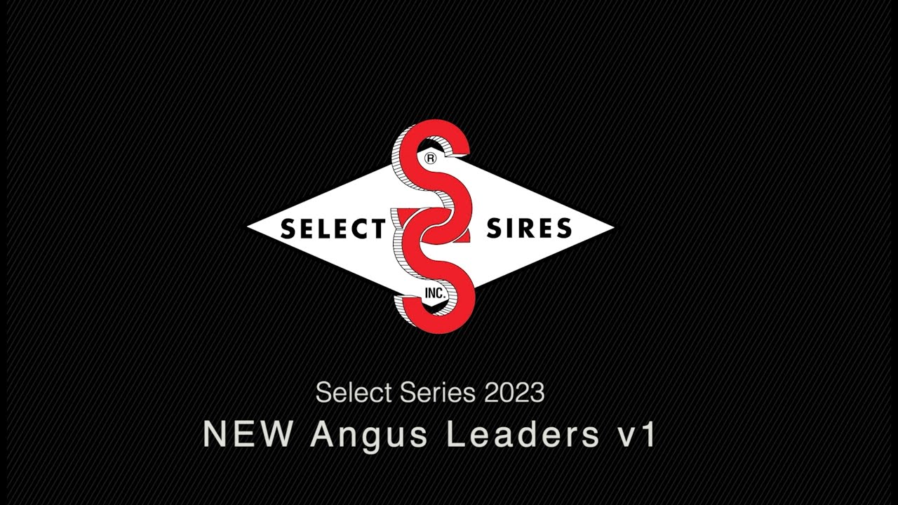 2023 Select Series: New Angus Leaders v1 - YouTube