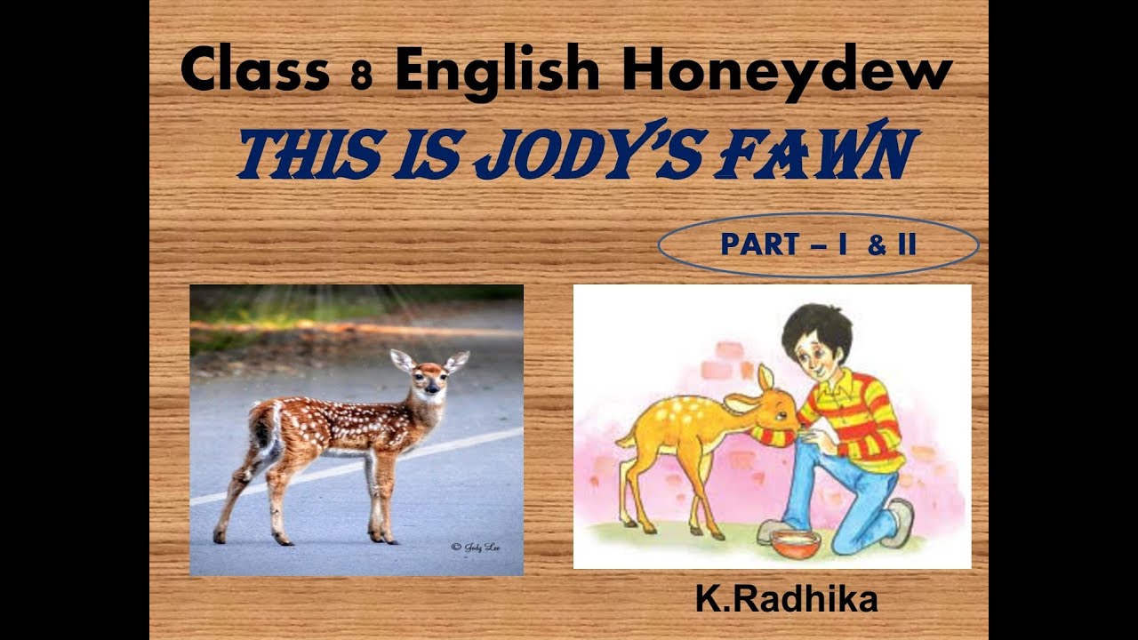 Class 8 English Chapter 6 This Is Jody s Fawn Explanation Part 1 Class 8 English Chapter 6 This Is Jody s Fawn Explanation Part 1