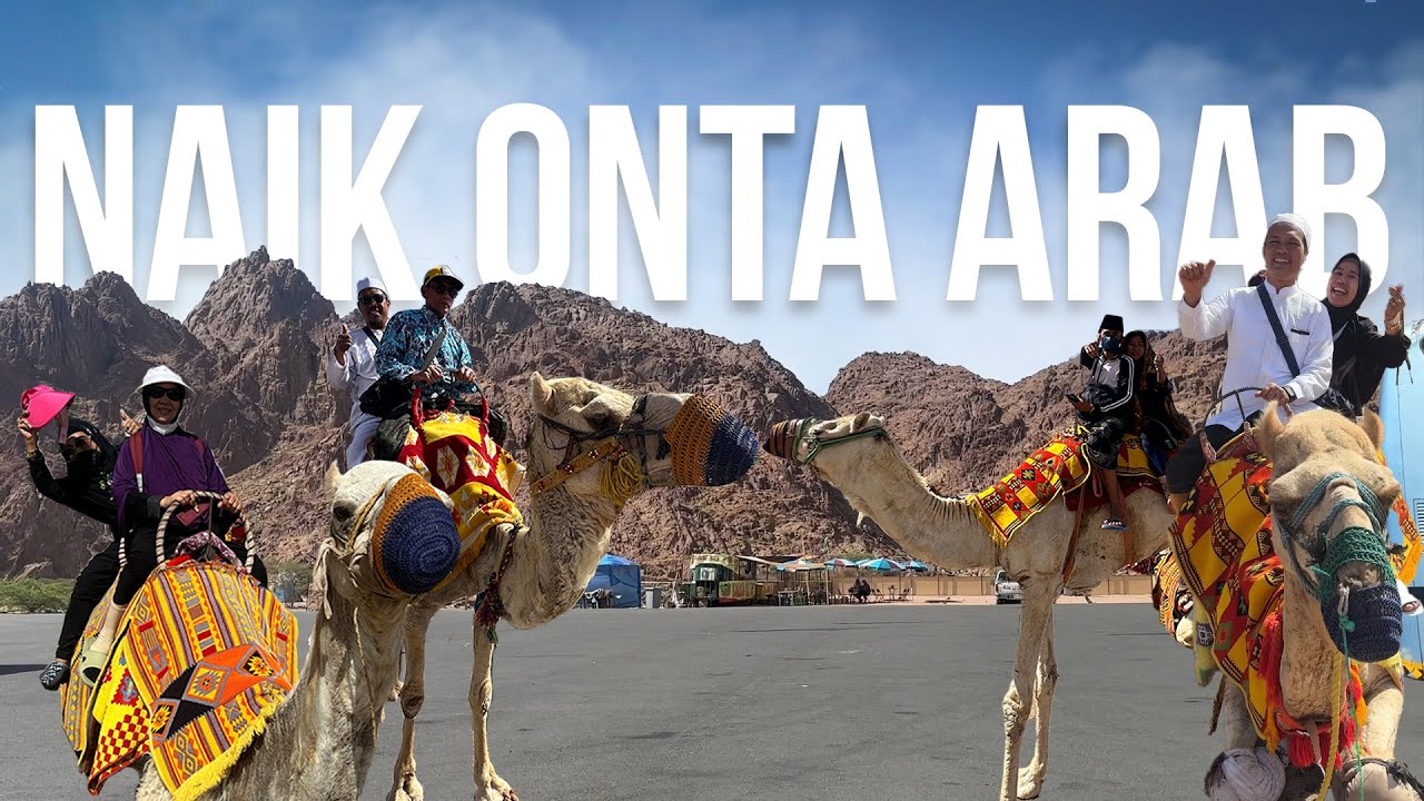 VLOG 5 THE JOURNEY OF HAJJ I Keseruan Naik Onta Arab #jabalmagnet # ...