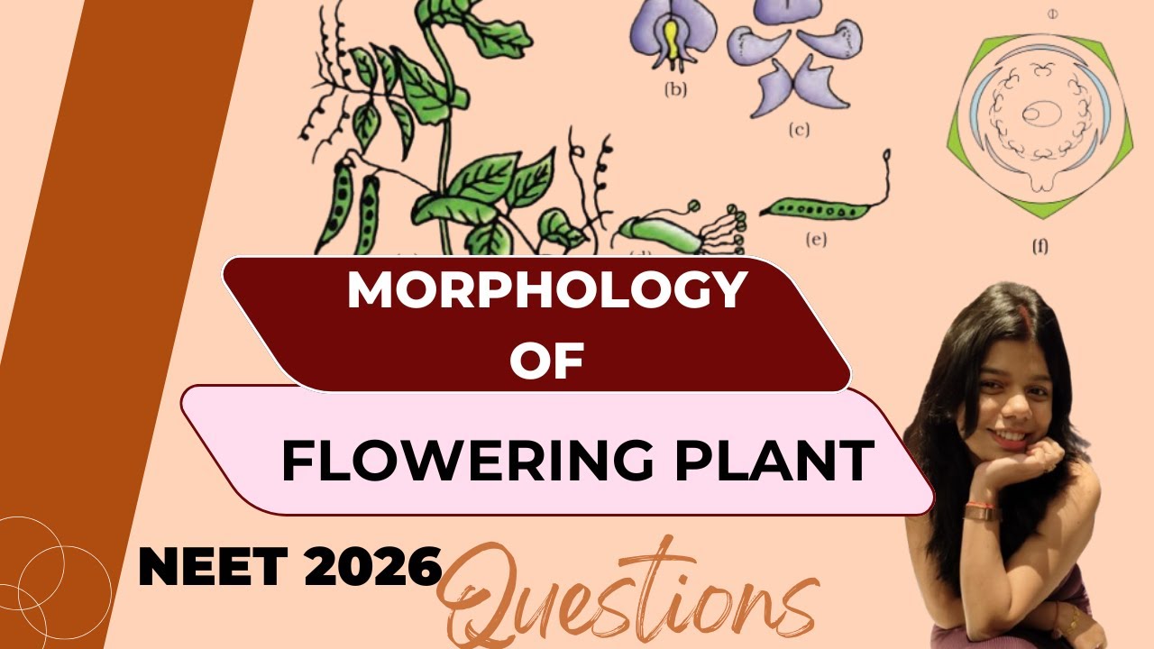 Problem Solving Session || MORPHOLOGY OF FLOWERING PLANT || Class 11 ...