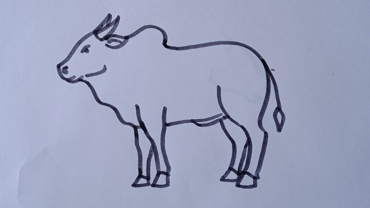 How To Draw Ox Easy ox cow Drawing Step By Step ox Or Pull Line