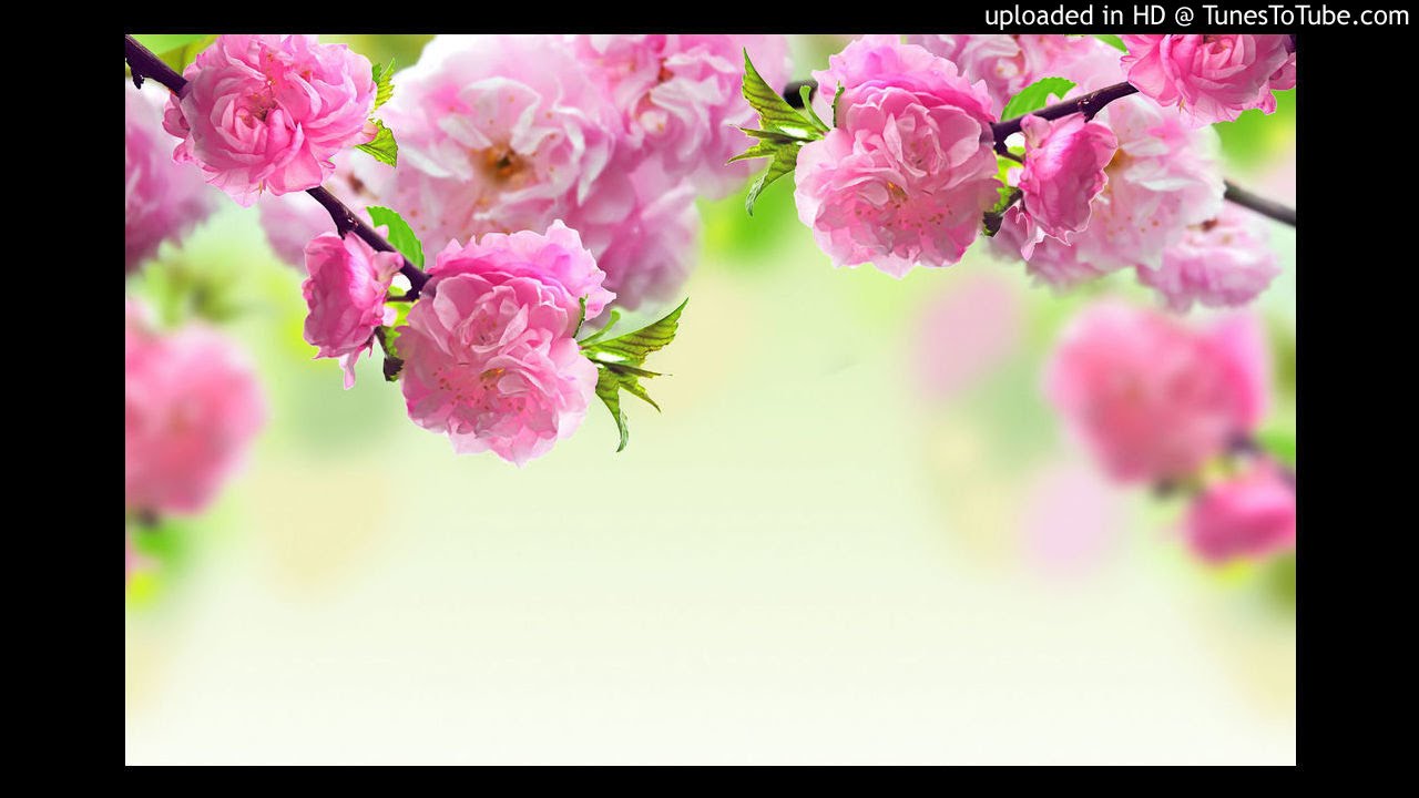 JASON UPTON - Freedom (Audio) (Soaking Prophetic Worship) - YouTube