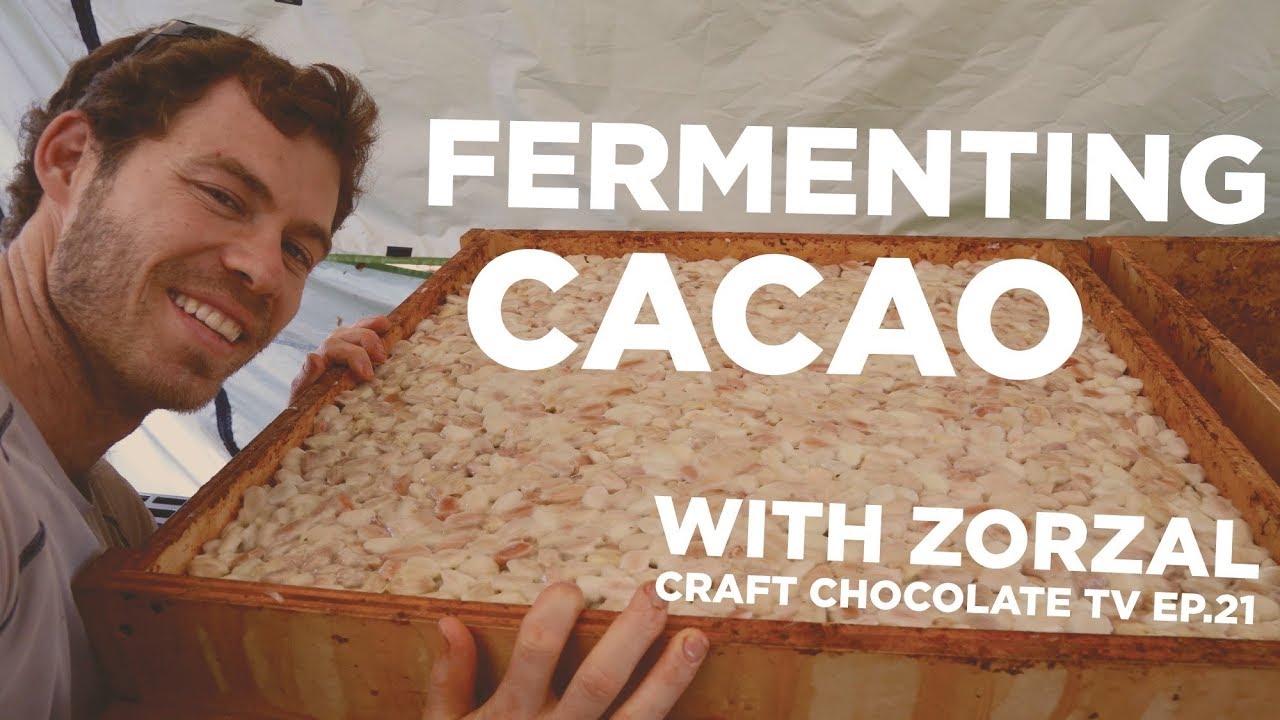 Fermenting Cacao (4 tier cascade system) - Episode 21 - Craft Chocolate ...