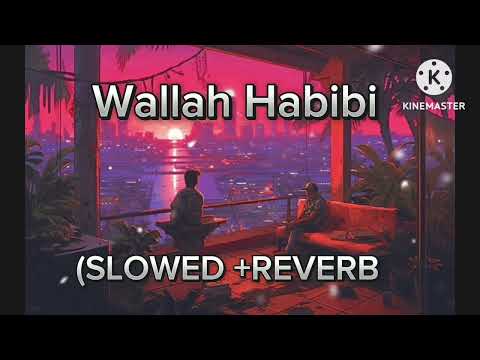 WALLAH HABIBI💕 [SOLO+REVERB] LOFI SONG MIND FRESH LOFI MASHUP🎧 | BADE MIYAN CHHOTE MIYAN NEW SONG 💓