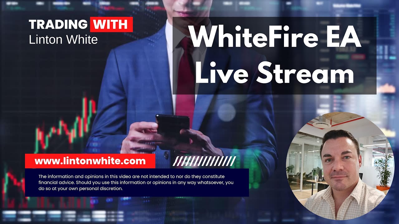 WhiteFire Expert Advisor - Live Stream - YouTube