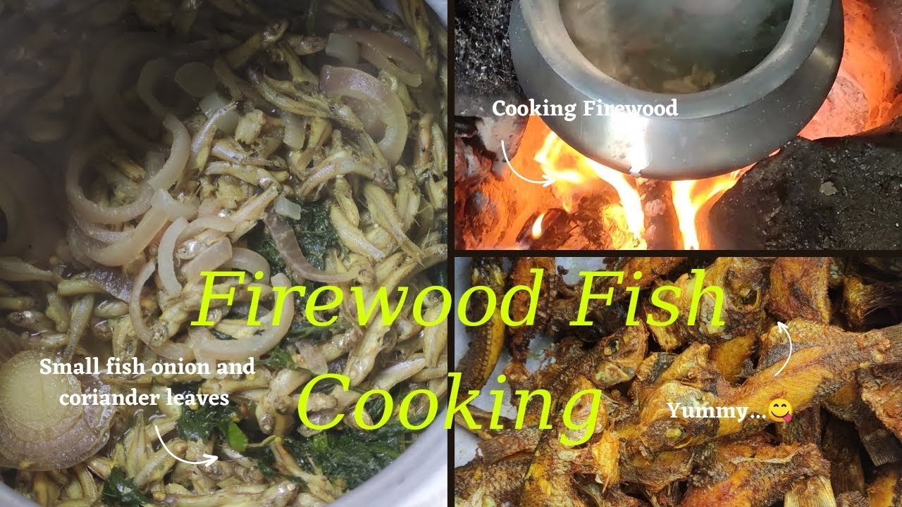 ###Firewood Cooking Small Fish at my Village### - YouTube