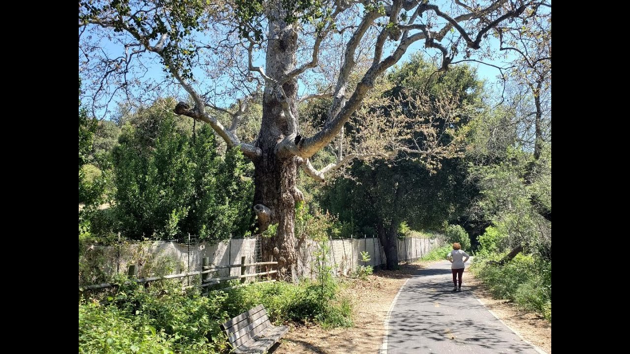 Mark Sutton - "Do Not Leave Home Without Jesus" - YouTube