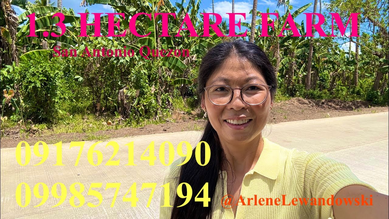 Vlog645: FOR SALE TITLED 1.3 HECTARE FARM WITH RIVER & MOUNTAIN VIEW IN ...