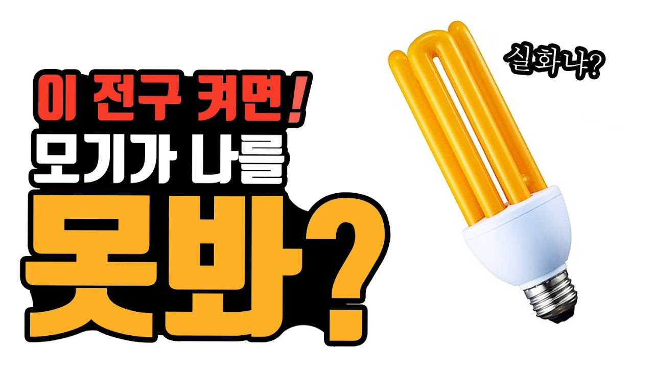 차박캠핑 바다낚시가서 파워뱅크 인버터 사용 전구 모기의 눈을 멀게 하는 전구 차박캠핑 캠핑장 모기 퇴치 바다낚시 모기퇴치