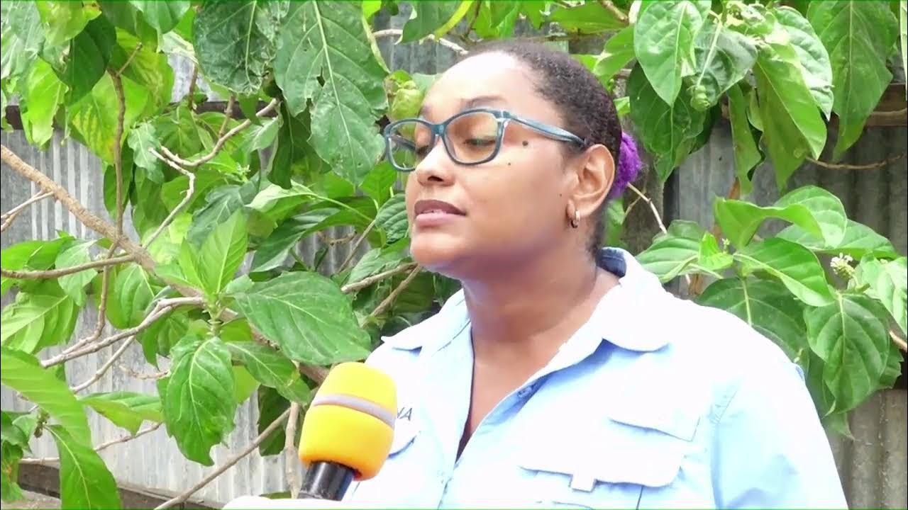 CTV3 NEWSCAST FOR THURSDAY JUNE 6TH, 2024 - YouTube