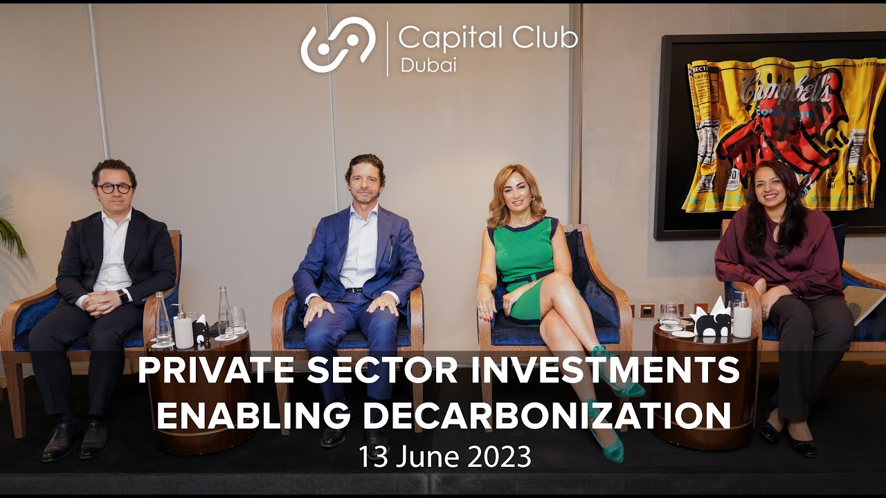 Private Sector Investments Enabling Decarbonization - YouTube