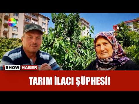 Kiraz yedikten sonra fenalaştılar!