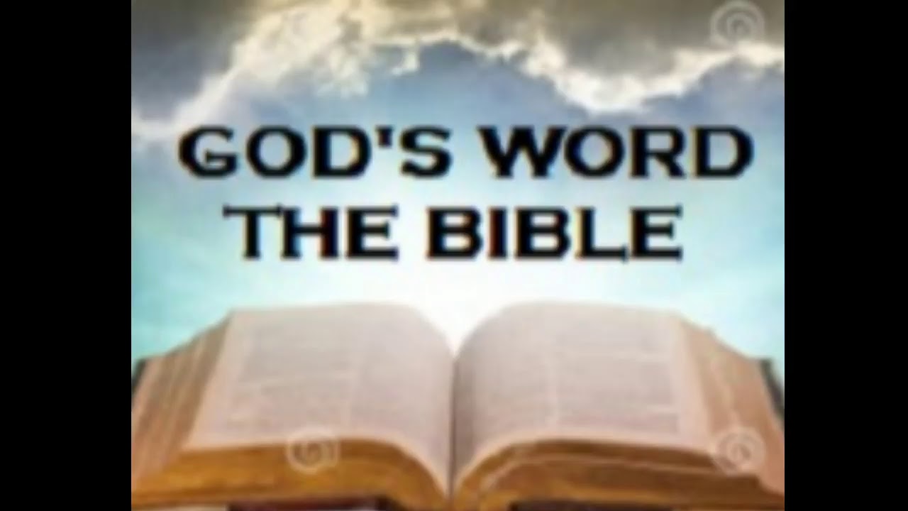 GOD'S WORD THE BIBLE Live Stream - YouTube