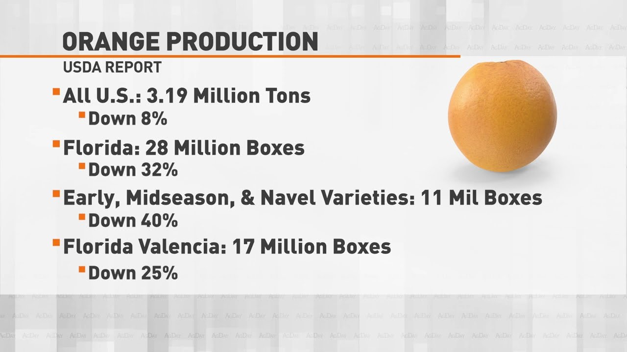 USDA Report: Orange Production Down - YouTube