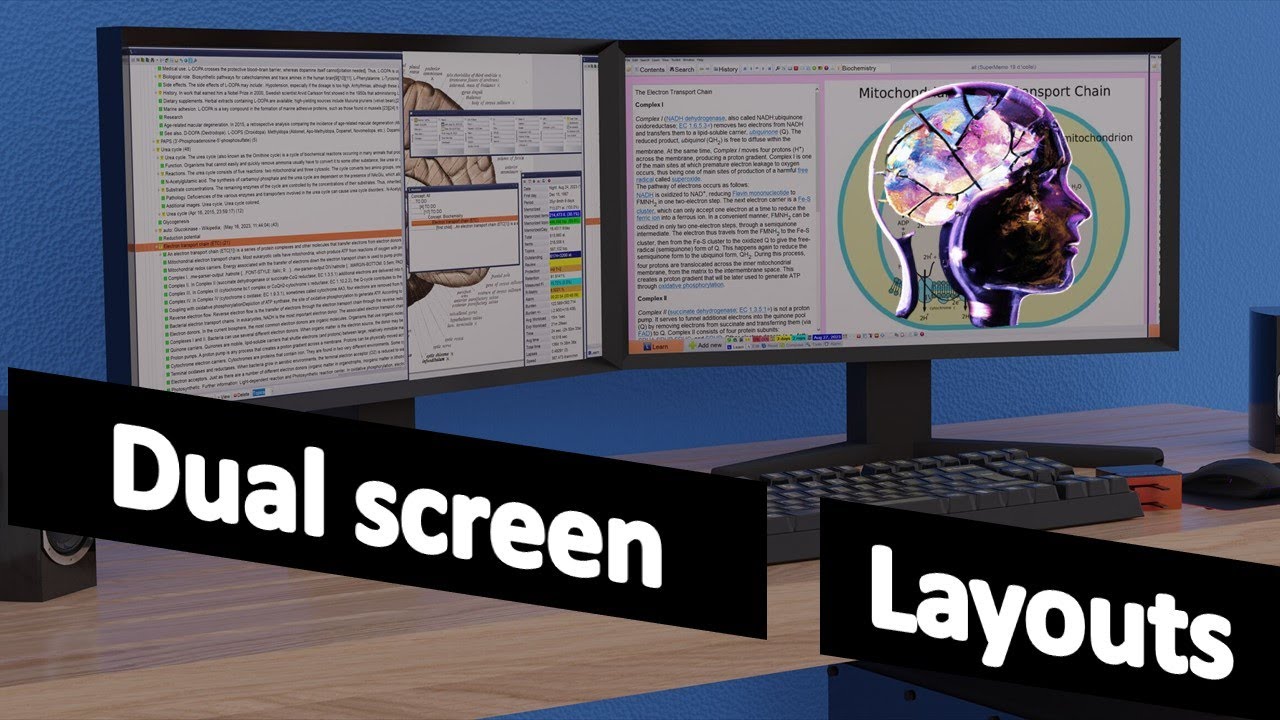 Dual Screen Layouts: New Feature in SuperMemo 19 - YouTube