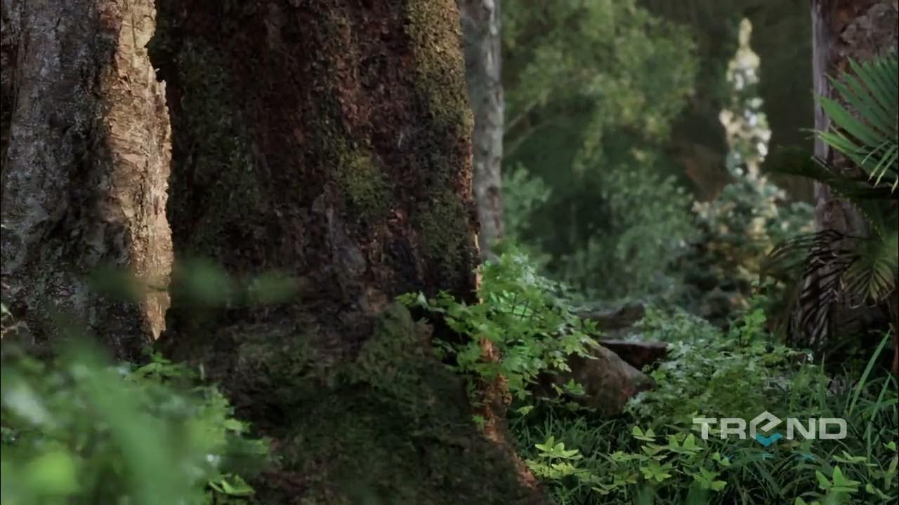 Photorealistic Forest - Unreal Engine 5 Environment - YouTube