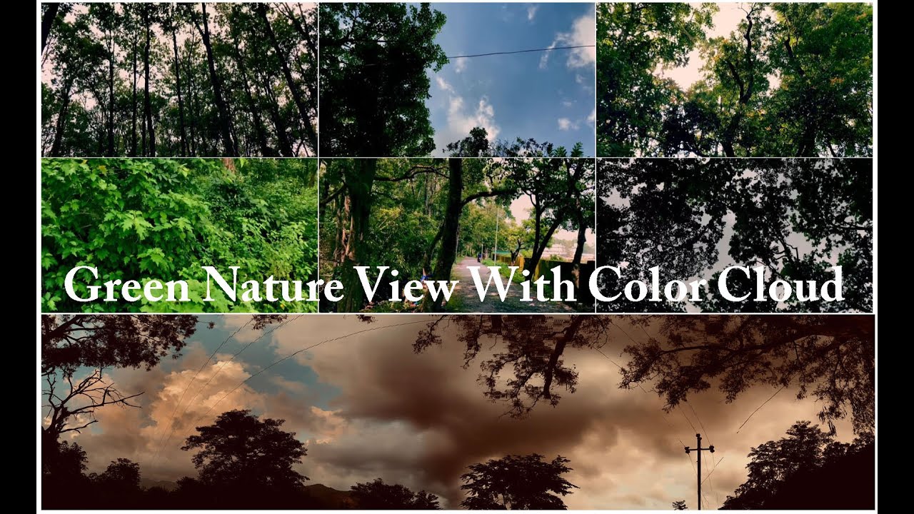 Green Nature View With Color Cloud | Shoot Natural Green View Video By ...