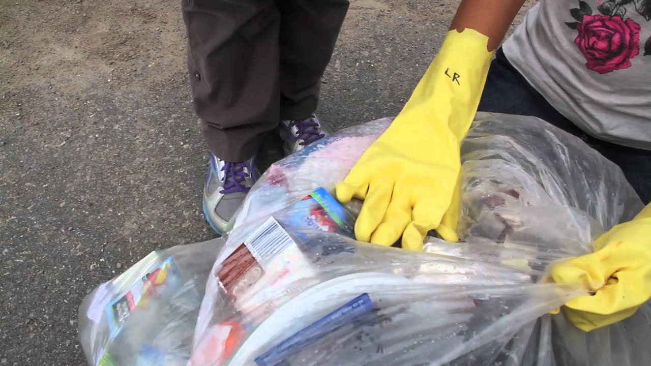 THE RECYCLE RANGERS: WASTE AUDIT - YouTube