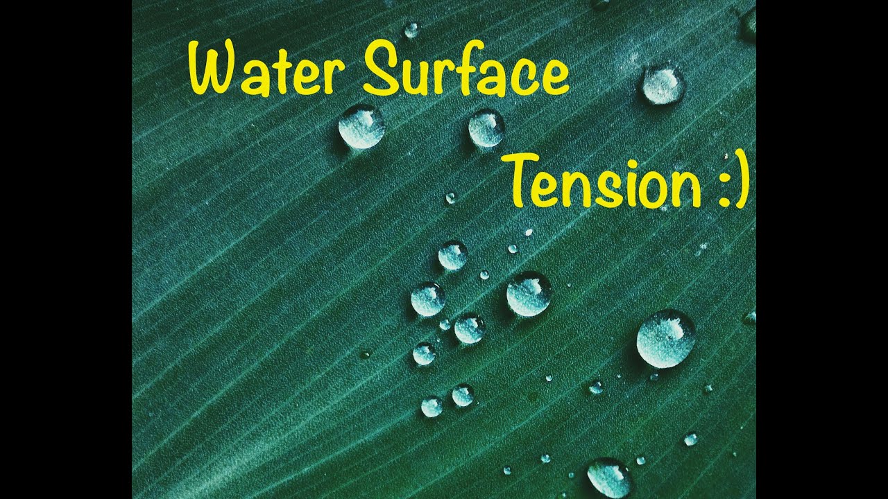 Fun With Surface Tension - YouTube