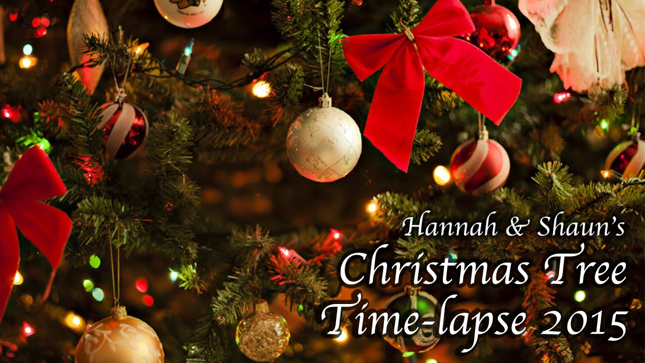 Hannah & Shaun's Christmas Tree Time-lapse 2015 - YouTube