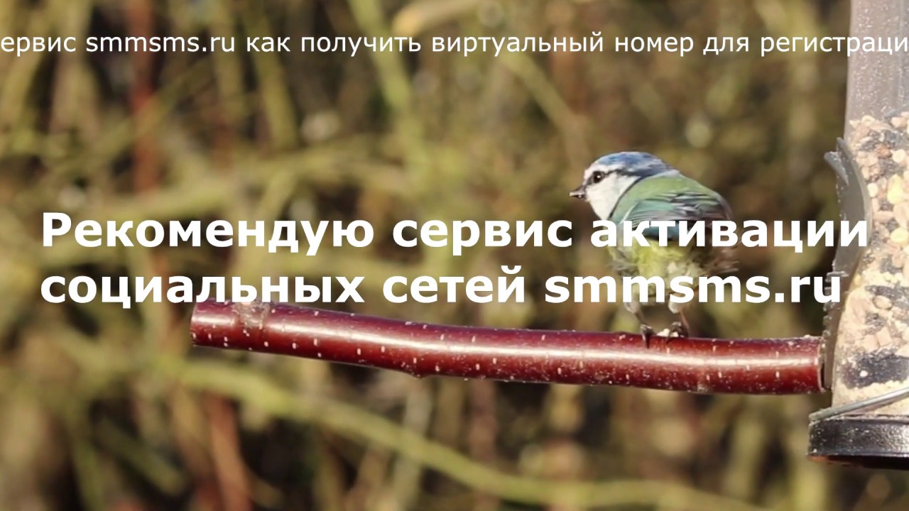 Сервис smmsms.ru как получить виртуальный номер для регистрации - YouTube