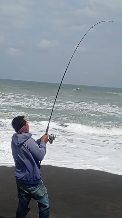 Strike joran melengkung #mancing - YouTube