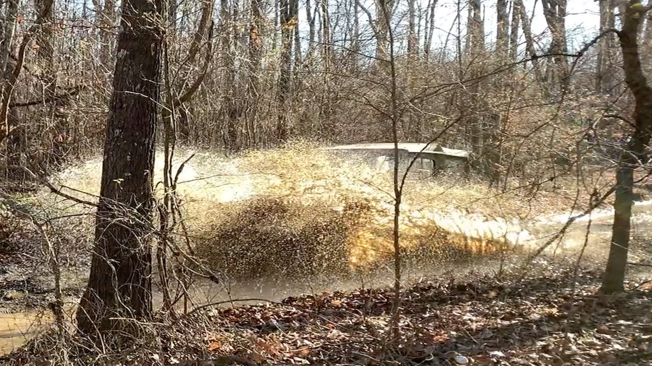 Muddy Mess - YouTube