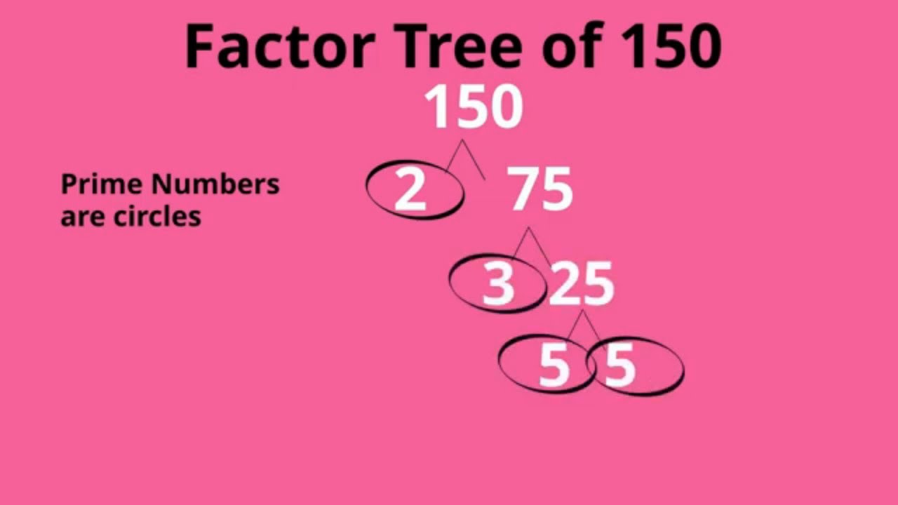Factor Tree Of 150 YouTube