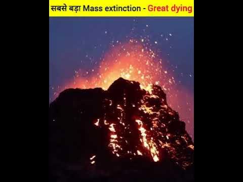 अब तक का सबसे बड़ा mass extinction | the great dying | biggest mass extinction @unknownfacts8789 ...