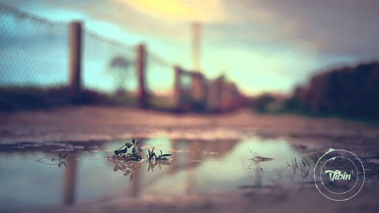 Seneca B - Survival Of The Fittest (Feat. ADMB) - YouTube