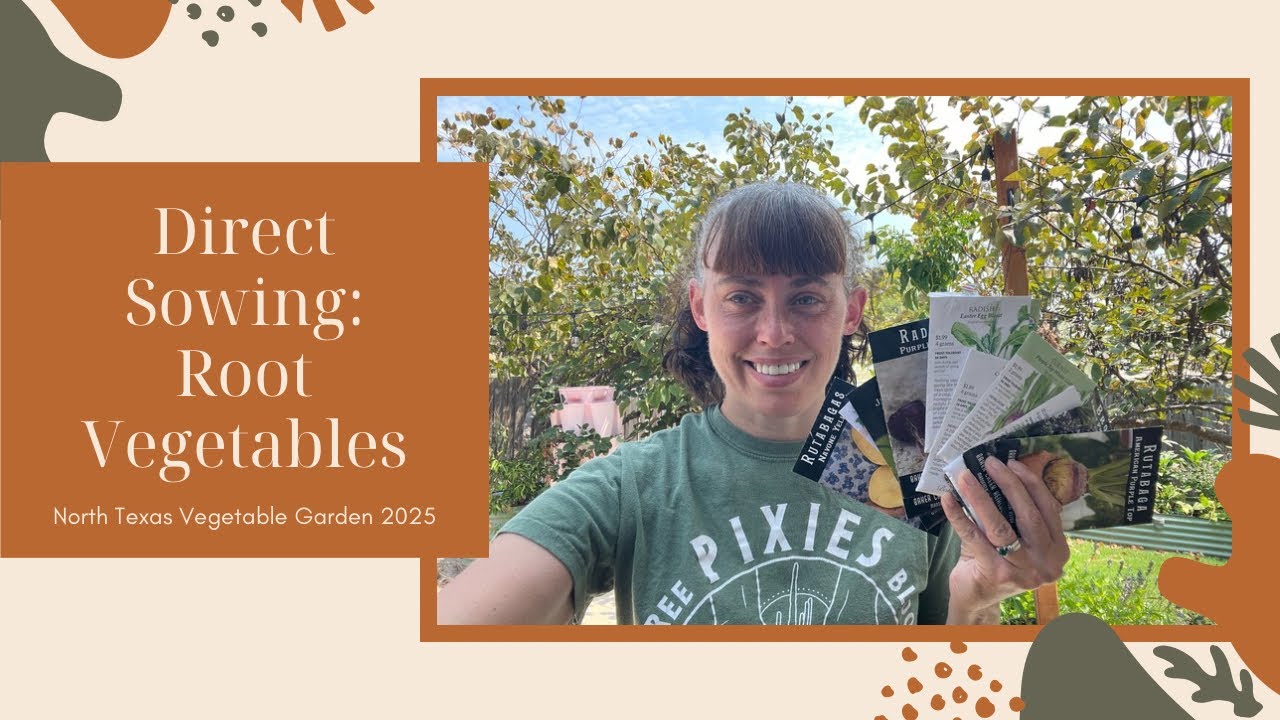 North Texas Fall Vegetable Garden: Direct Sowing Root Crops - YouTube
