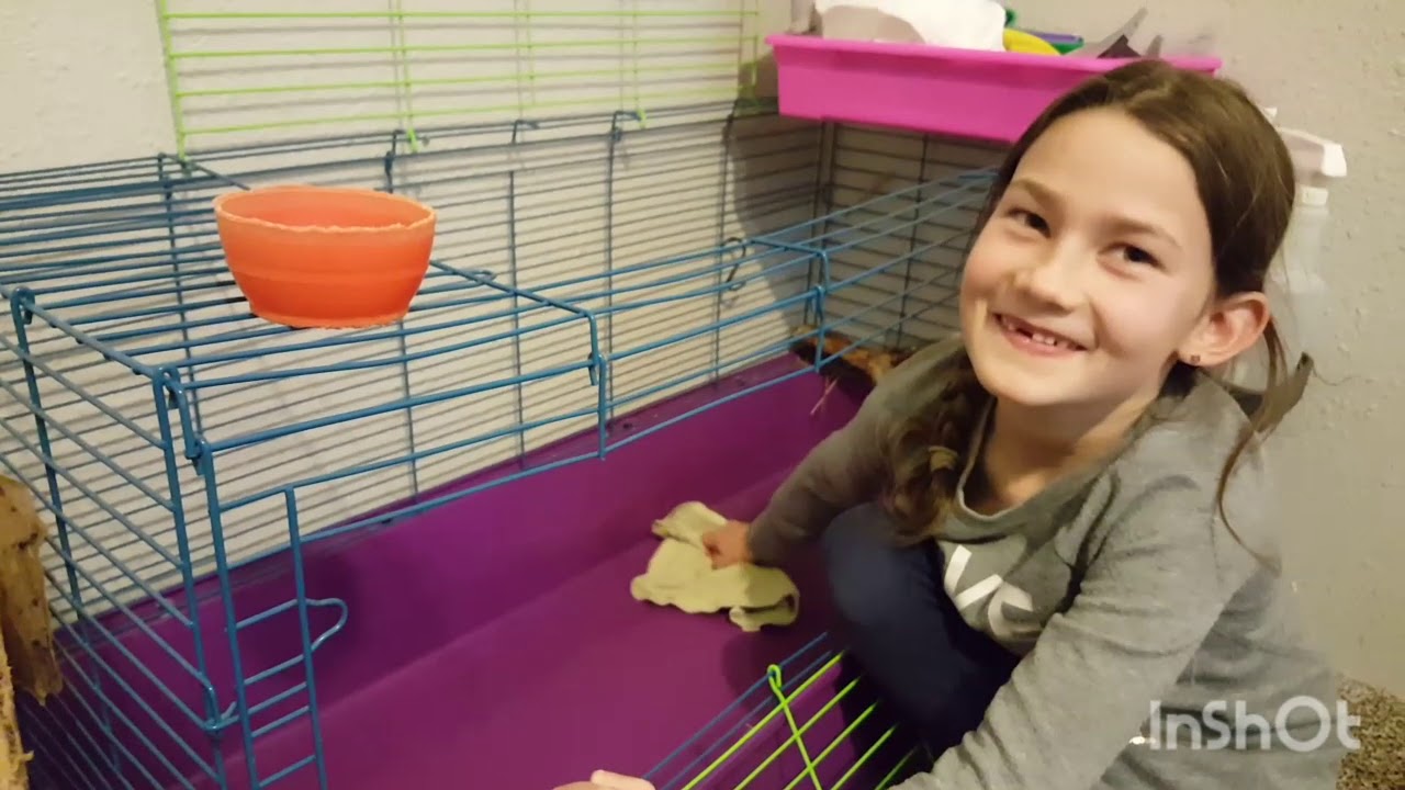 How to clean your bunny cage - YouTube