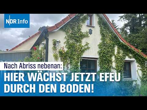 Risse nach Bauarbeiten: Haus von Seniorin nach Sanierung von Kläranlage baufällig | NDR Info