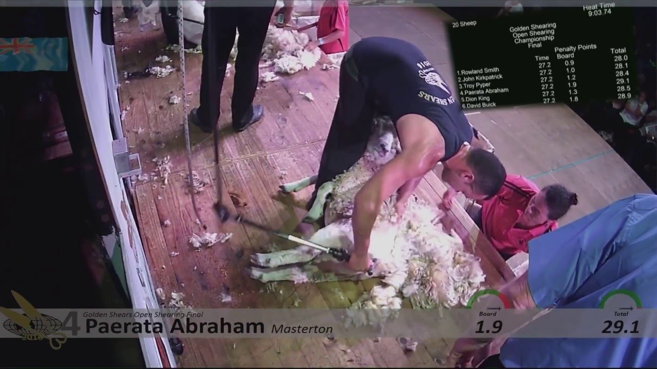 Golden Shears Open Shearing Final 2016 Masterton Golden Shears - YouTube