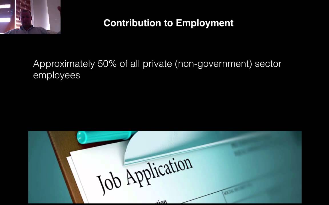 Lesson 3 - The Contribution of small business to the economy - YouTube