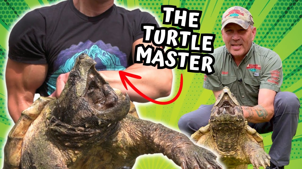 Celebrate World Turtle Day With These Fun Bite-sized Turtle Facts! # ...