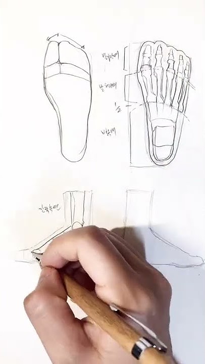 매일그림143일 김락희의 인체드로잉 Anatomy Drawing Draw Everyday Youtube