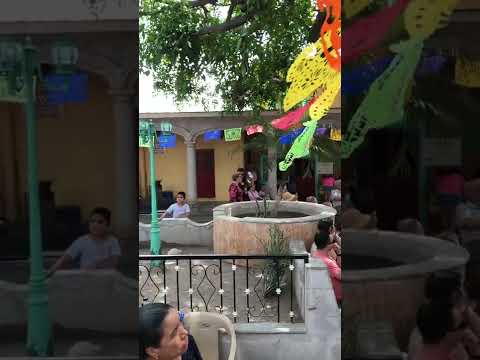 Fenare 2022, bailecito, Pepe Pa!